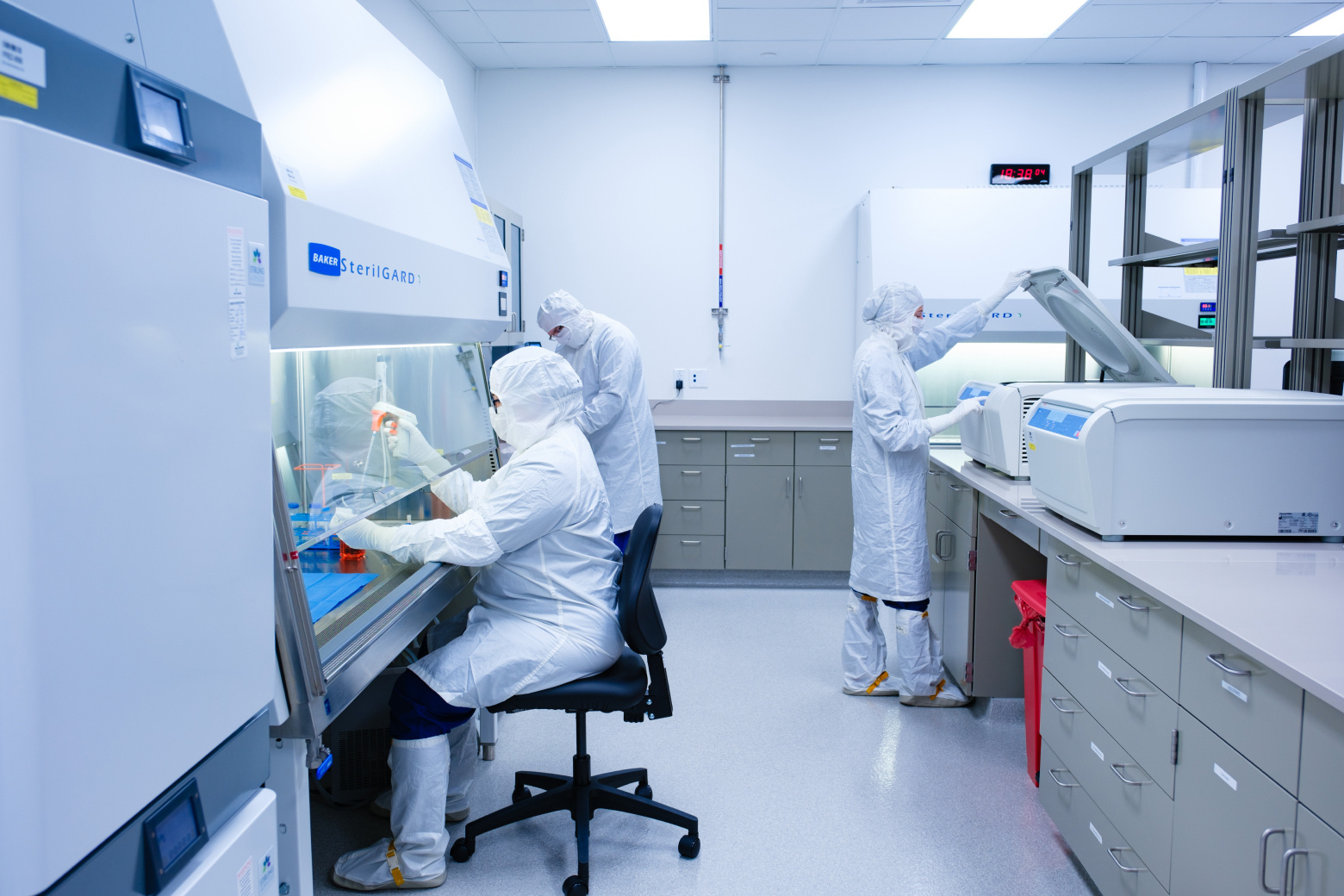 Muscle Cell Technology | Cook MyoSite