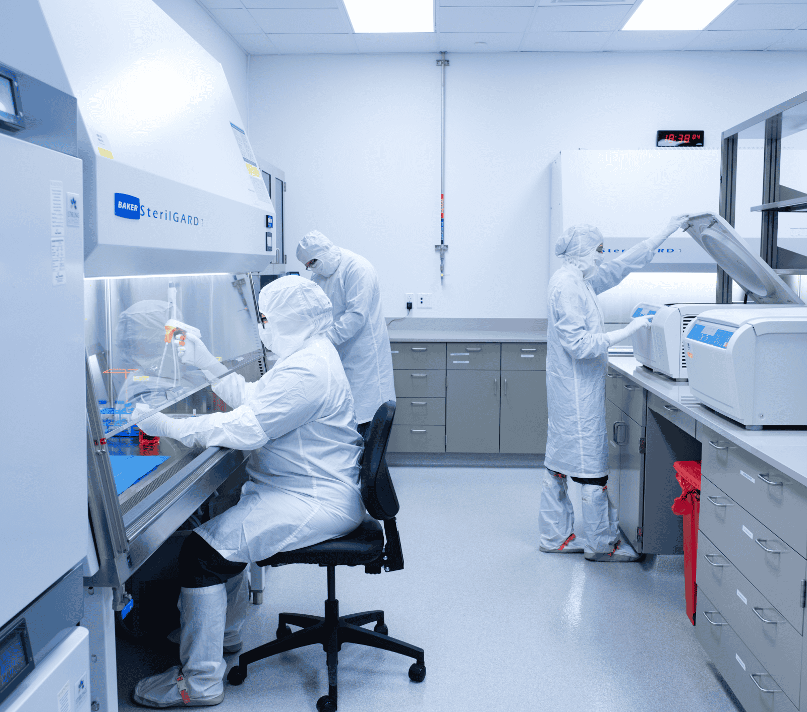 Muscle Cell Technology | Cook MyoSite