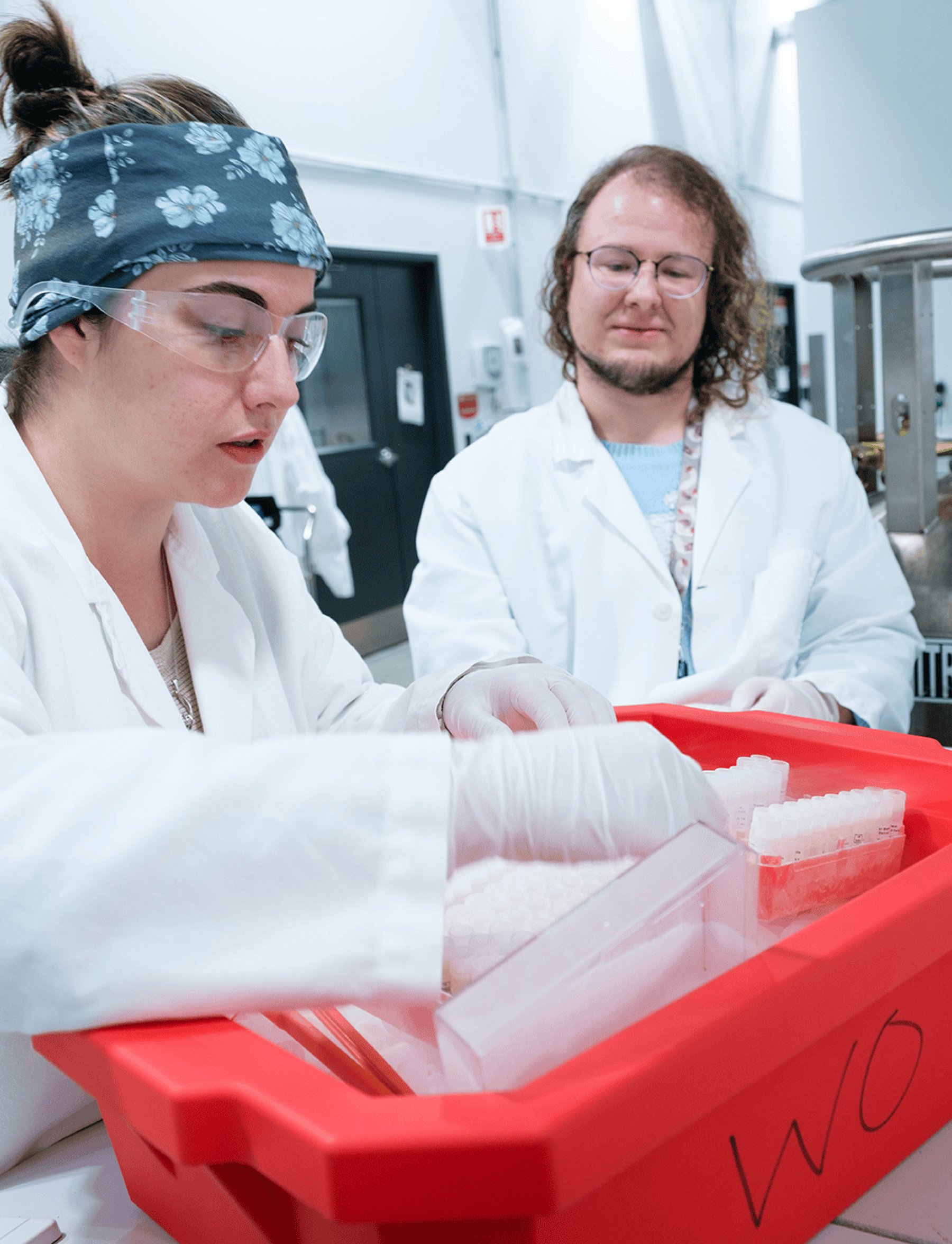 Primary Human Skeletal Muscle-Derived Cells & Media | Cook Myosite