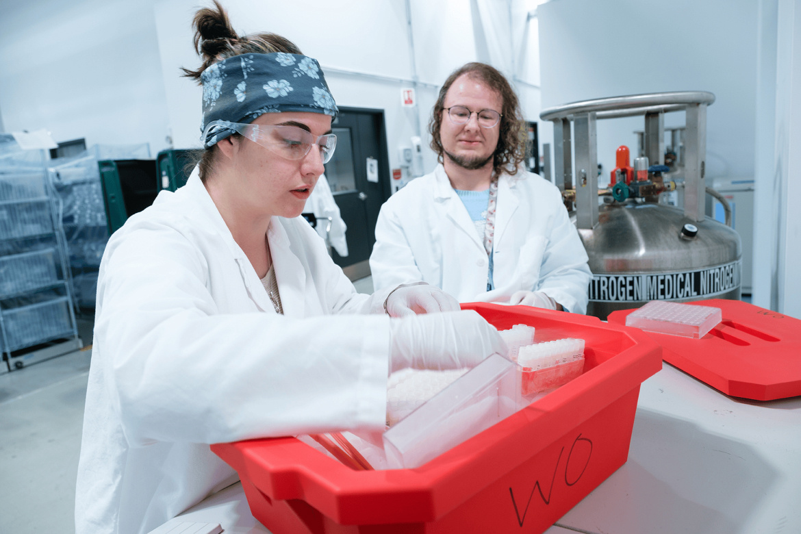 Primary Human Skeletal Muscle-Derived Cells & Media | Cook Myosite