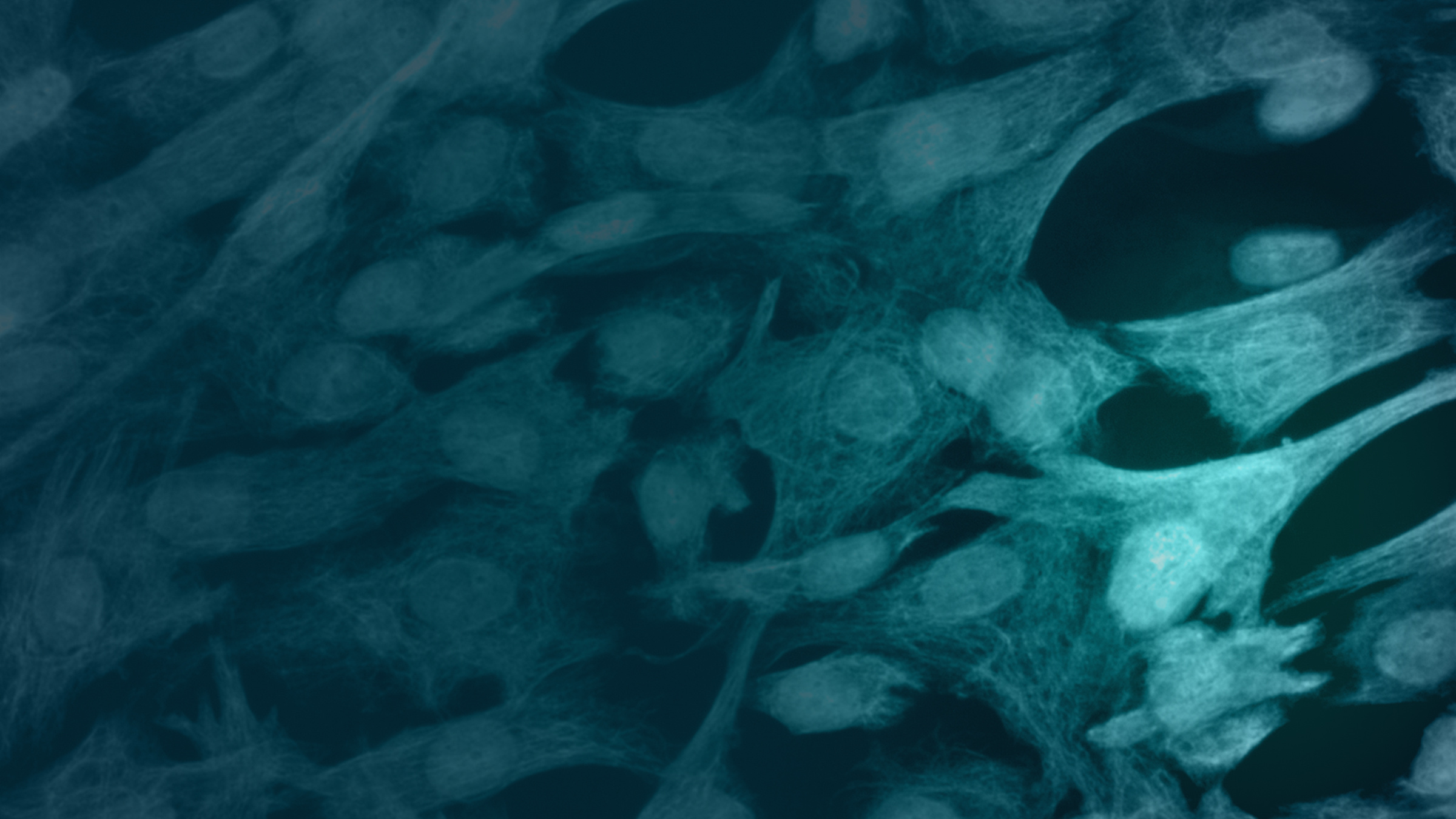 skMDC Research Products & Services | Cook MyoSite