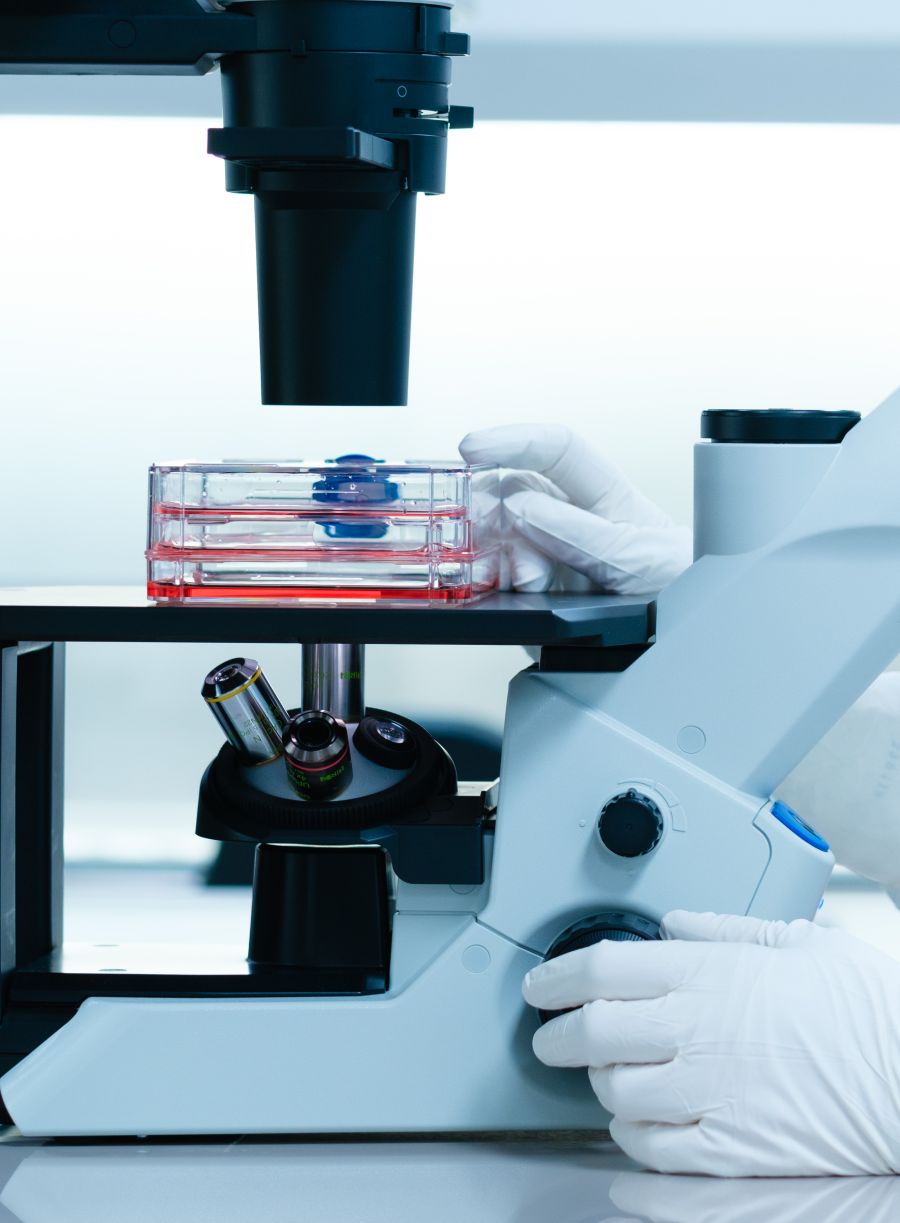 Research Contract Services | Leaders in Regenerative Medicine | Cook ...