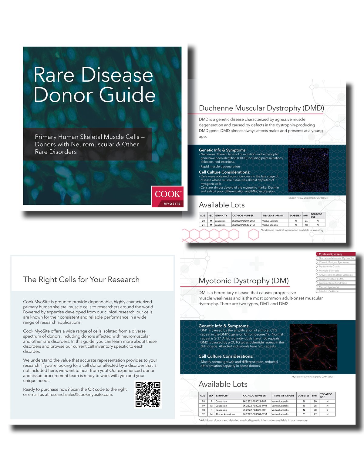 Rare Disease Donor Guide