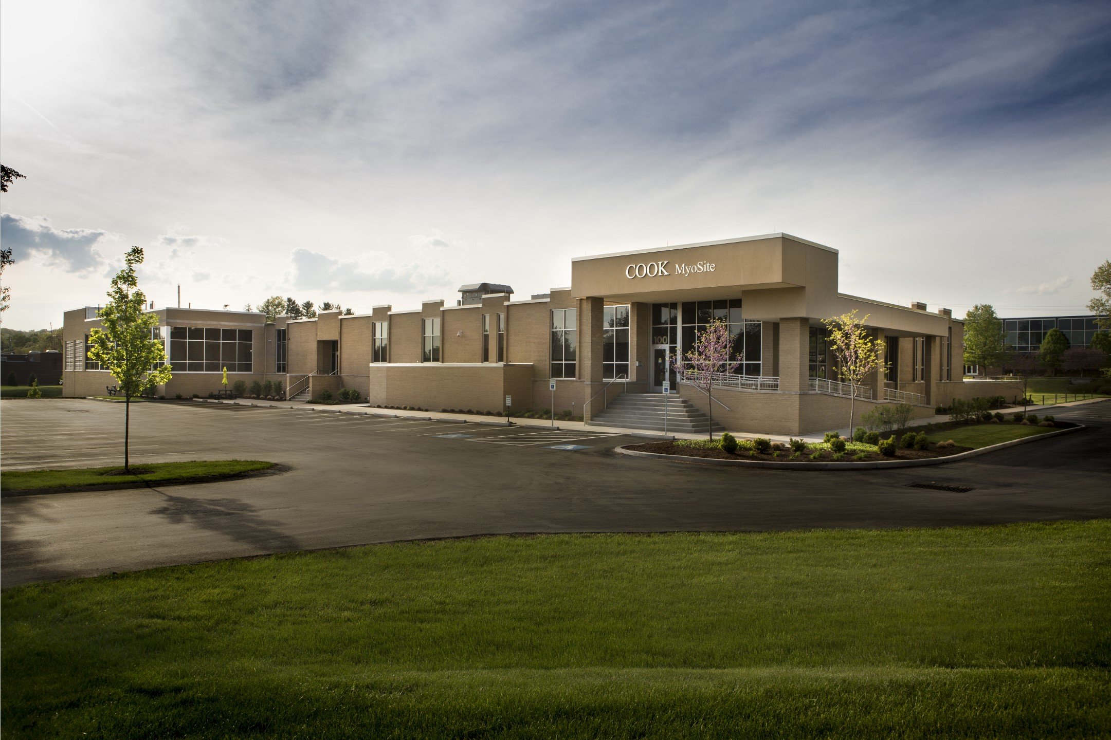 Muscle Cell Technology | Cook MyoSite